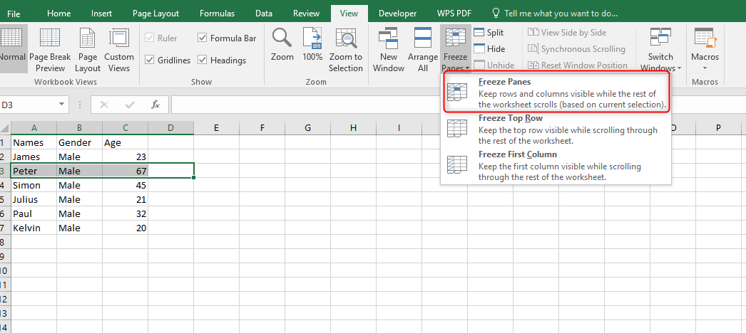 How to make a row always visible in Excel | Basic Excel Tutorial