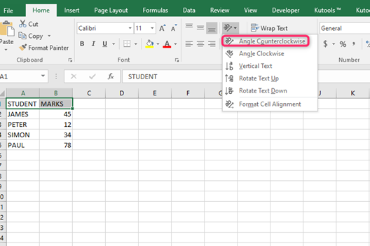How to Rotate Text Cells in Excel | Basic Excel Tutorial