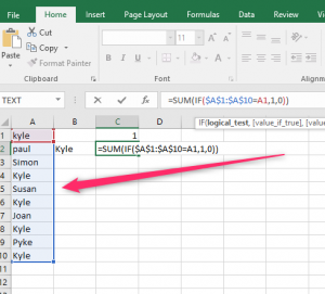 How to count the frequency of a text in a column | Basic Excel Tutorial