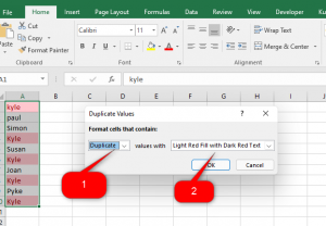 How to count the frequency of a text in a column | Basic Excel Tutorial